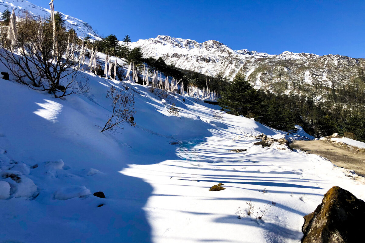 Tourists Rejoice as Lesser-Known Snow Destinations in Darjeeling and ...