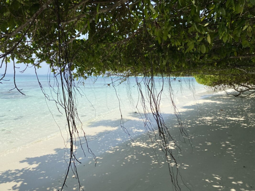 Discover the Arctic Blue Magic of North Reef Island on a Hidden Island ...