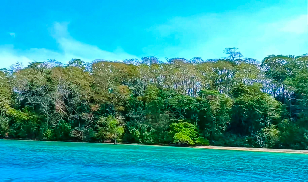 Top Tropical Island Hopping Tours in the Andamans | Promise India Tourism