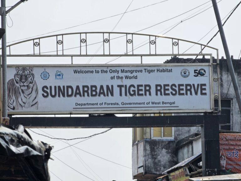 Sunderban Tiger Reserve Entry Fees to Increase from September 2024 ...