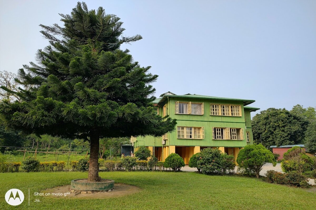 Best Forest Resorts & Bungalows in Dooars: A Paradise for Family ...